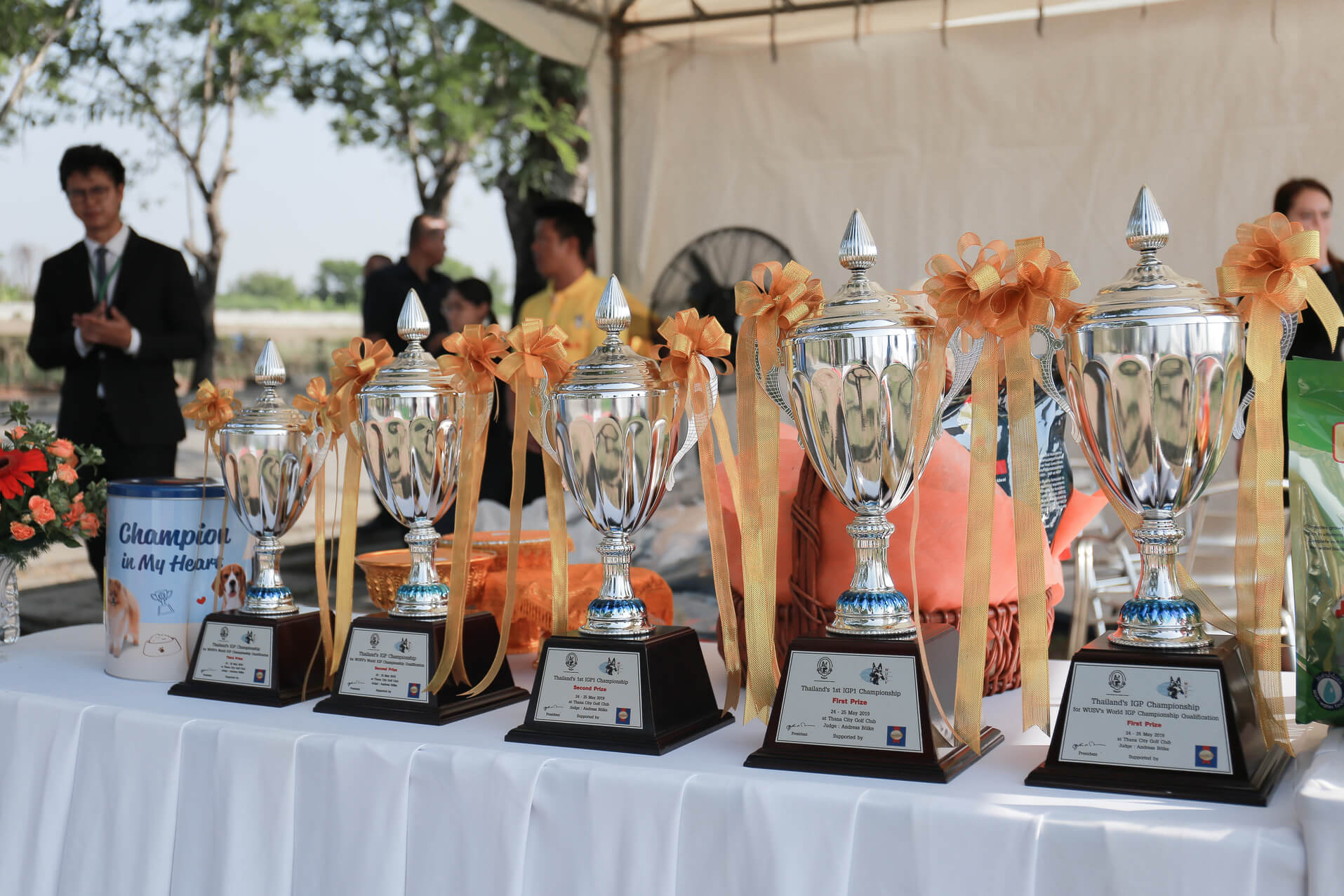 งาน Thailand’s IGP Championship for WUSV’s World IGP Championship ...